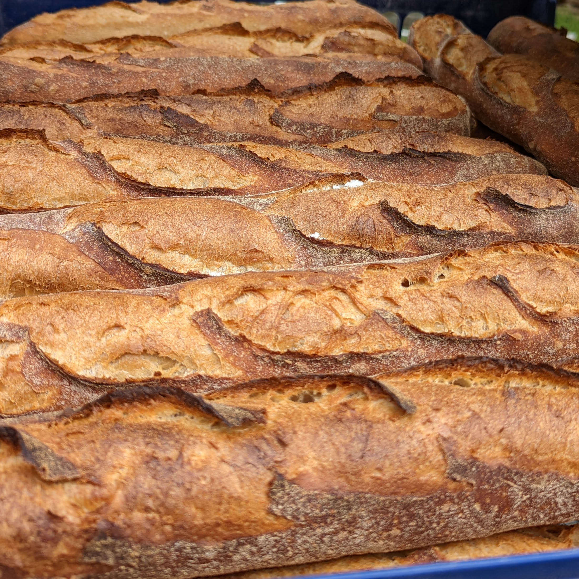 French Baguette - Prevail Bakehouse